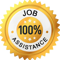 ZKing Institute | Typing Pilot Software | Free Typing Software ...